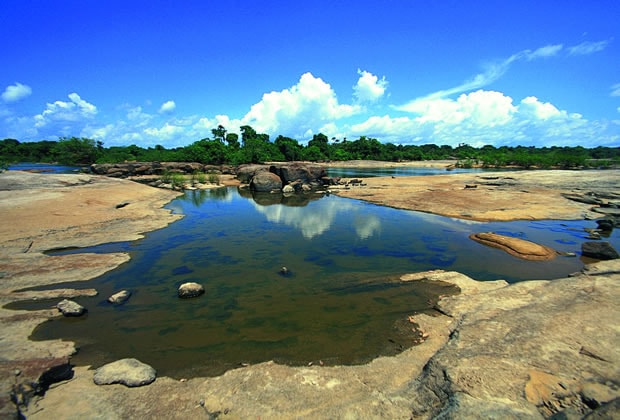 Rio Iriri biotope, Brazil - Practical Fishkeeping