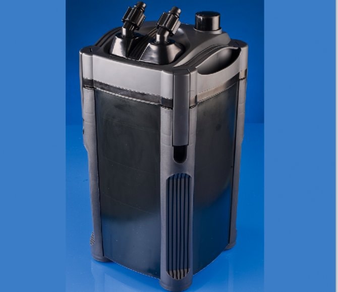 Aquamanta EFX2000 external filter review - Practical Fishkeeping