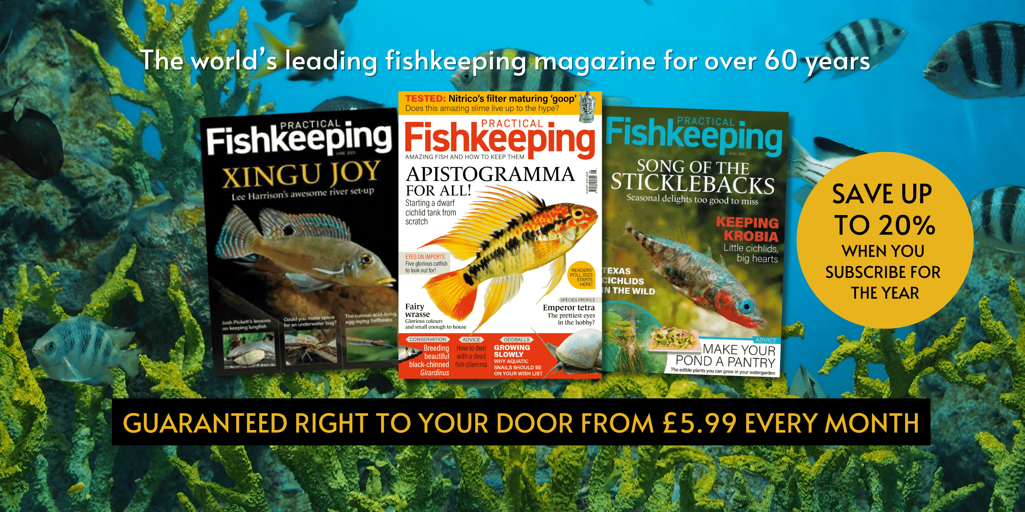 Practical Fishkeeping Magazine