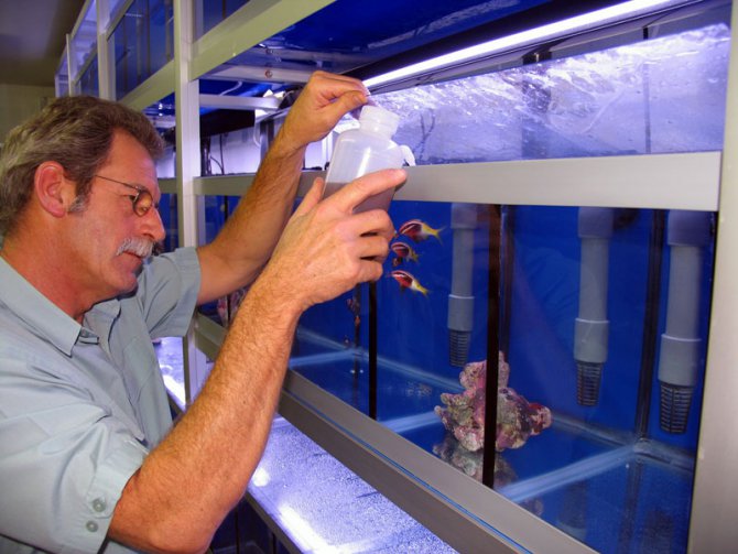 John Allan Aquariums to supply marine fish - Practical Fishkeeping