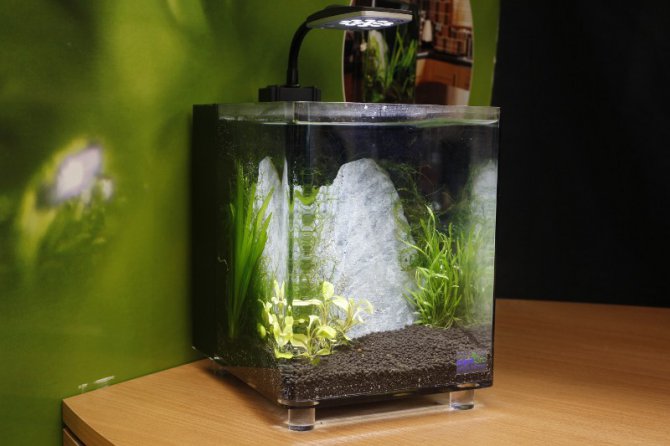 TMC to launch AquaGro MicroHabitat nano aquarium - Practical Fishkeeping