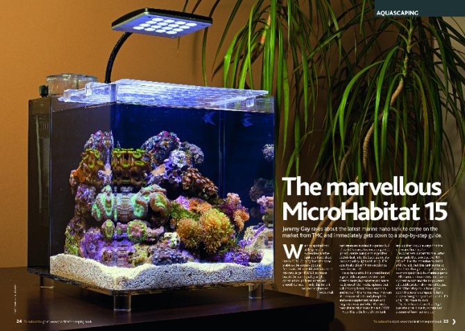 MicroHabitat 15 marine nano tank - watch the video! - Practical Fishkeeping