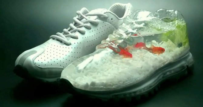 An aquarium in a shoe? Whatever next? - Practical Fishkeeping