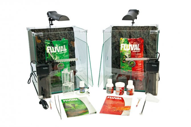 New Fluval starter kits for shrimps and plants - Practical Fishkeeping
