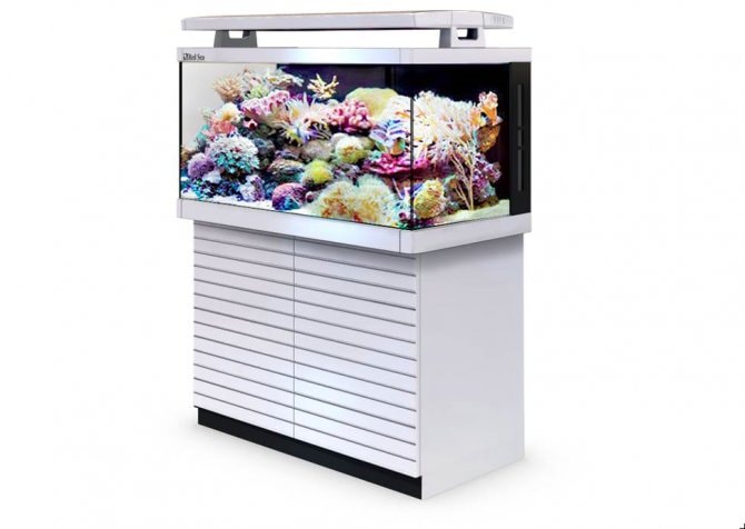 New Red Sea Max S-Series reef aquarium - Practical Fishkeeping