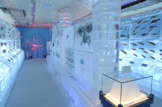 Unique ice aquarium in Japan - Practical Fishkeeping