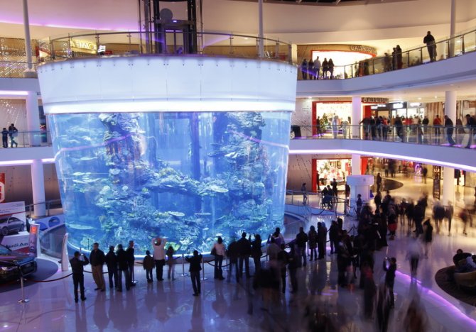 Giant aquarium features a lift in the centre - Practical Fishkeeping