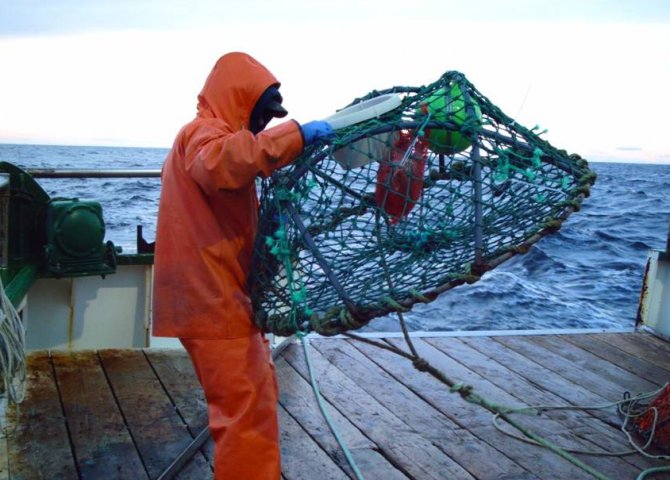 Deep sea fish communicate through sound - Practical Fishkeeping