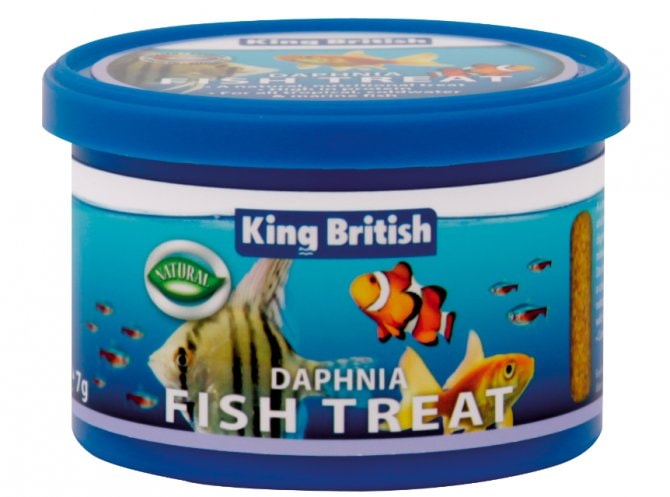 King British launches new Daphnia fish treat food - Practical Fishkeeping