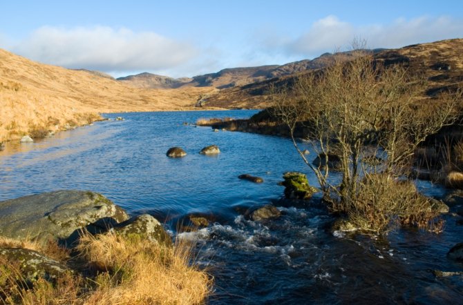 New hopes for Britain's rarest fish - Practical Fishkeeping