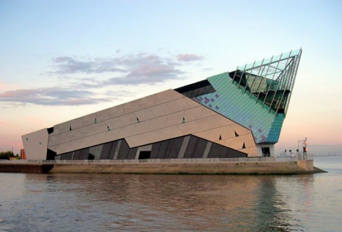 Hull aquarium goes green - Practical Fishkeeping
