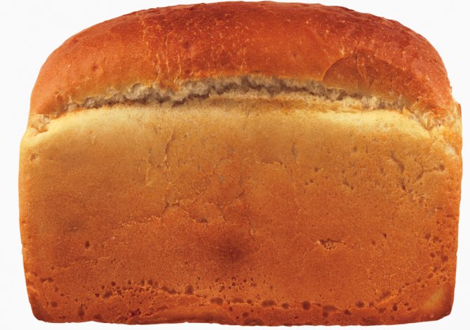 Schoolboy finds dead lizard in loaf of bread! - Practical Fishkeeping