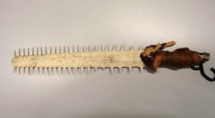 Police seize sword made from snout of sawfish - Practical Fishkeeping