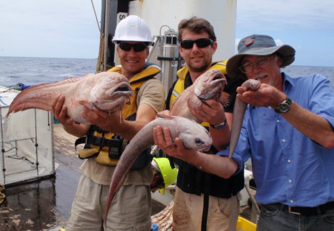 New fish discovered in one of the word's deepest places - Practical ...