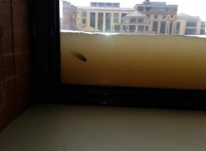 Is that a fish at the window? - Practical Fishkeeping