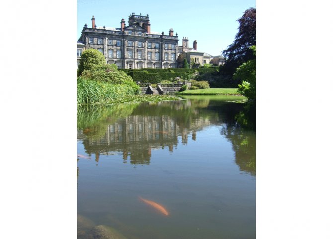 Can you help find Elvis? - Practical Fishkeeping