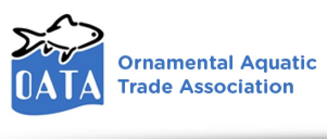 New directors welcomed to OATA's board - Practical Fishkeeping