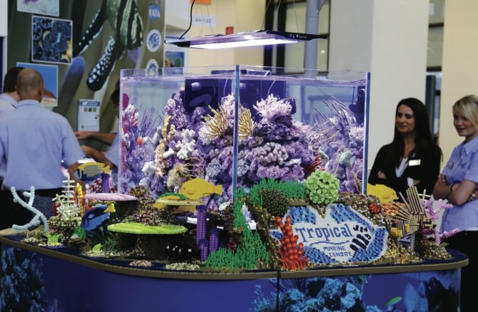 LEGO reefscape is a huge success - Practical Fishkeeping