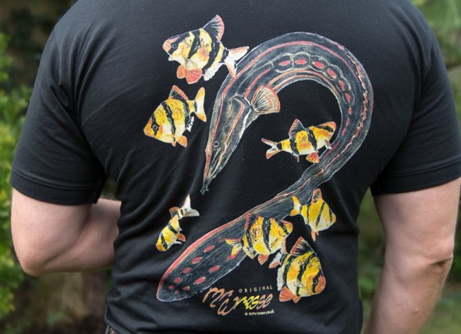 Aquarium fish feature on new range of shirts - Practical Fishkeeping