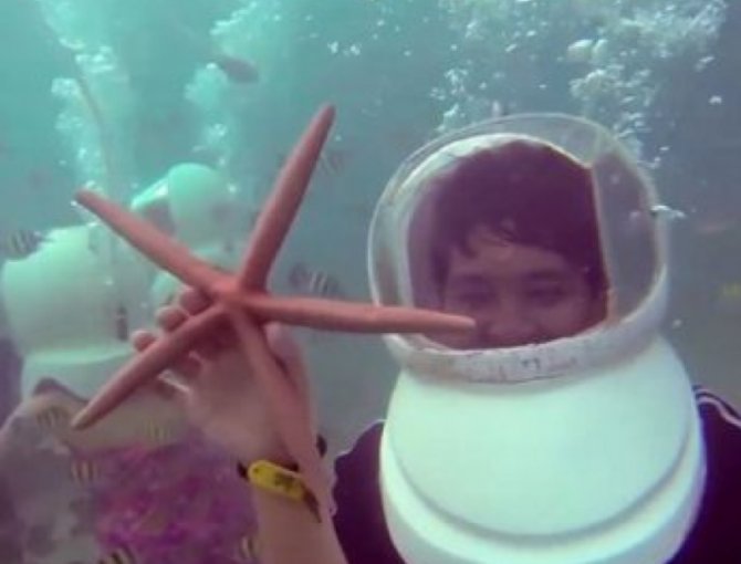 Tour company removes underwater 'animal abuse' video - Practical ...