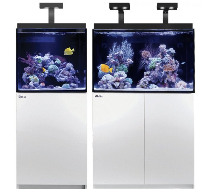 Red Sea launches all-new MAX E-Series reef system - Practical Fishkeeping
