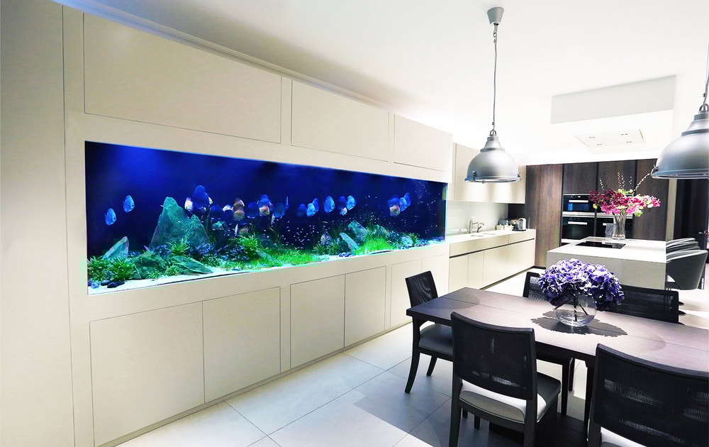 Become a Field Engineer with Aquarium Architecture. - Practical Fishkeeping