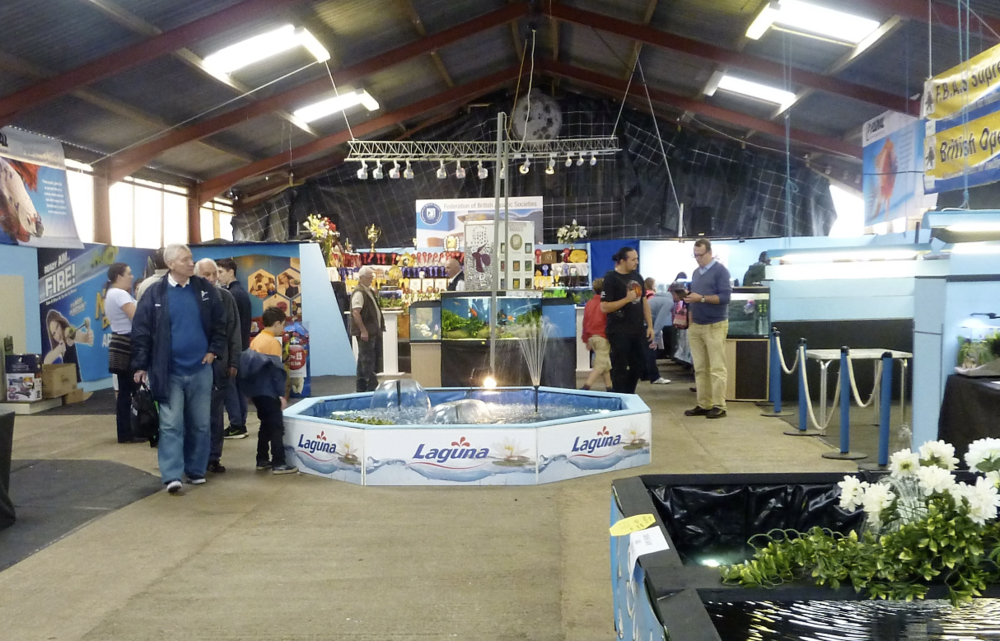 Show is a real festival of fish! - Practical Fishkeeping