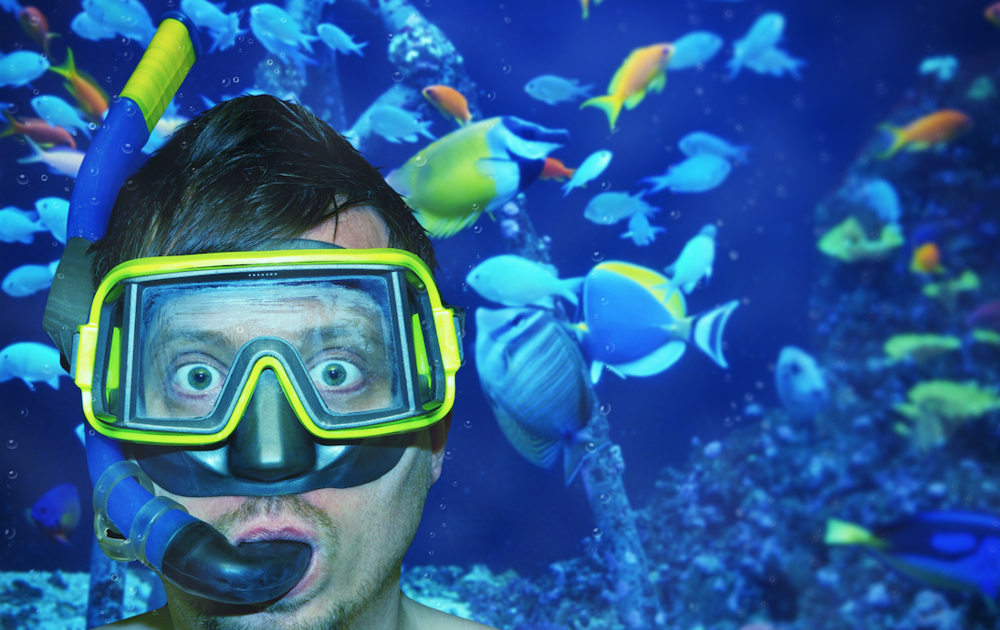 Snap a selfie with your fish — and you could win £125! - Practical ...
