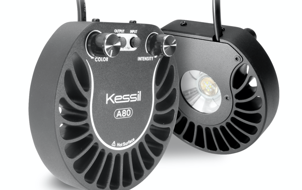 Kessil launches its smallest LED light to date - Practical Fishkeeping
