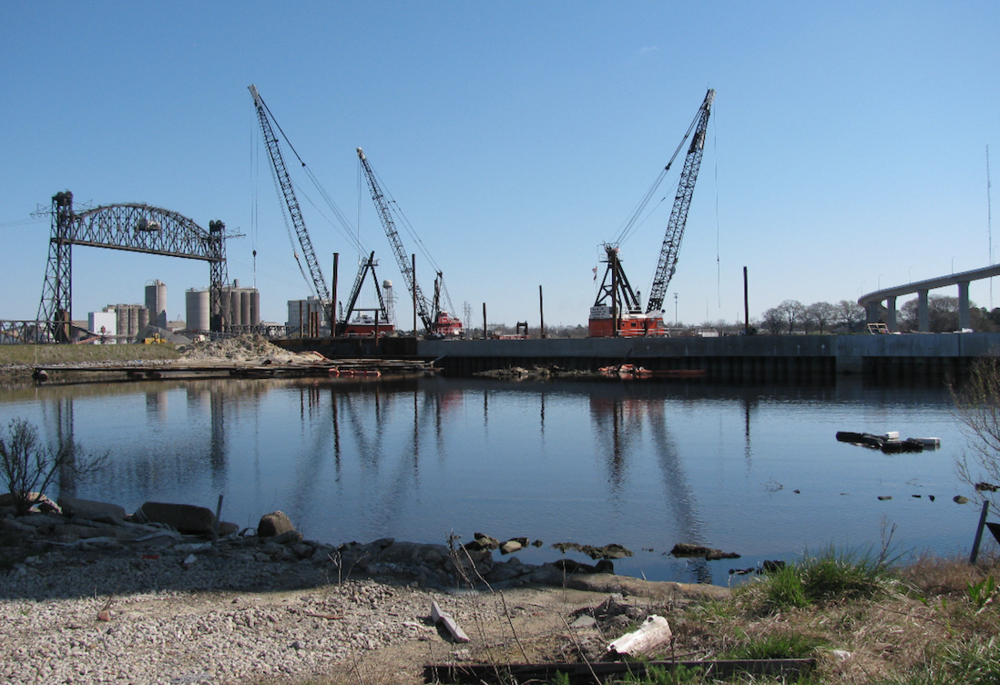 This killie is up to 8,000 times more resistant to pollution than other ...