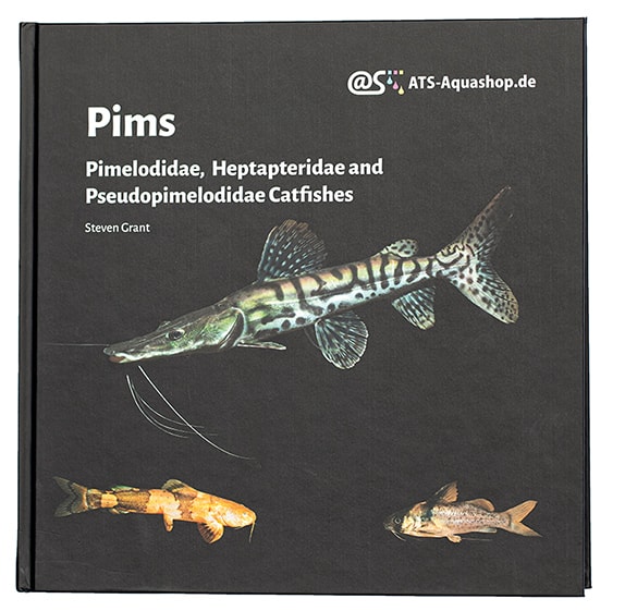 Pims Pimelodidae, Heptapteridae and Pseudopimelodidae Catfishes ...