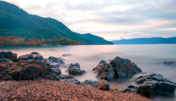 Red wolf fish, Erythrinus erythrinus - Practical Fishkeeping