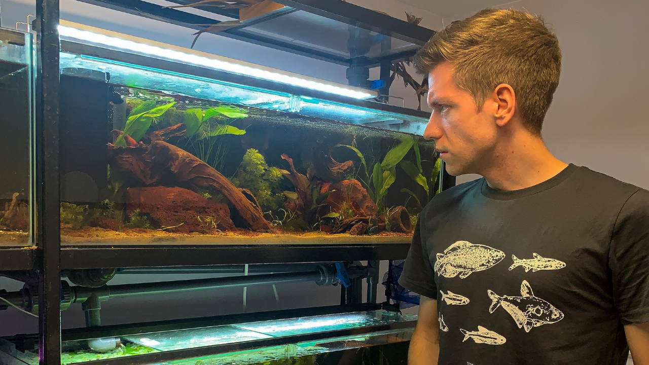 Meet Our New Practical Fishkeeping Editor: Alex Bell - Practical Fishkeeping