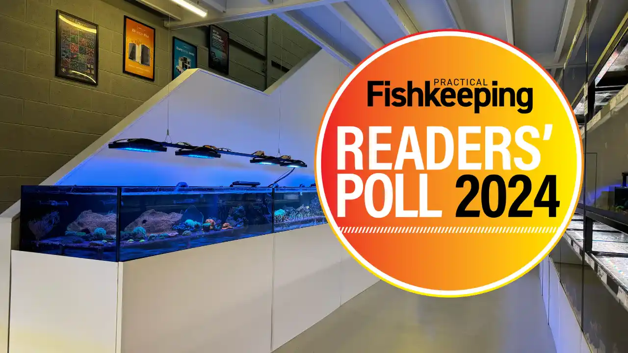 Readers' Poll 2024 Winners Announced - Practical Fishkeeping