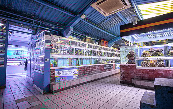 The Goldfish Bowl in Oxford chosen for The Parliamentary Review ...