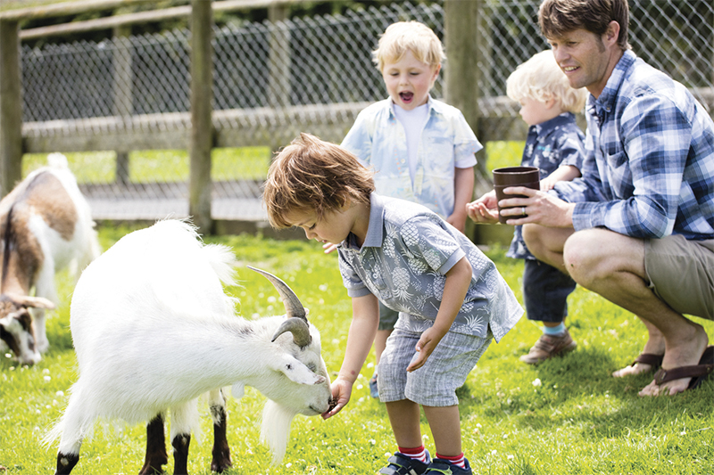 Wooda Farm Holiday Park - Premier Parks