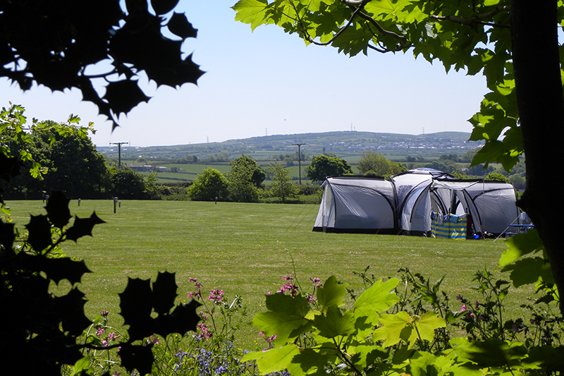 Trewan Hall Availability - Premier Parks