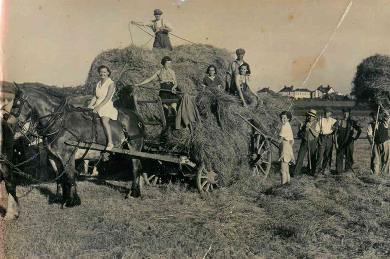 2025 marks 50 years for Wooda Farm Holiday Park - Premier Parks