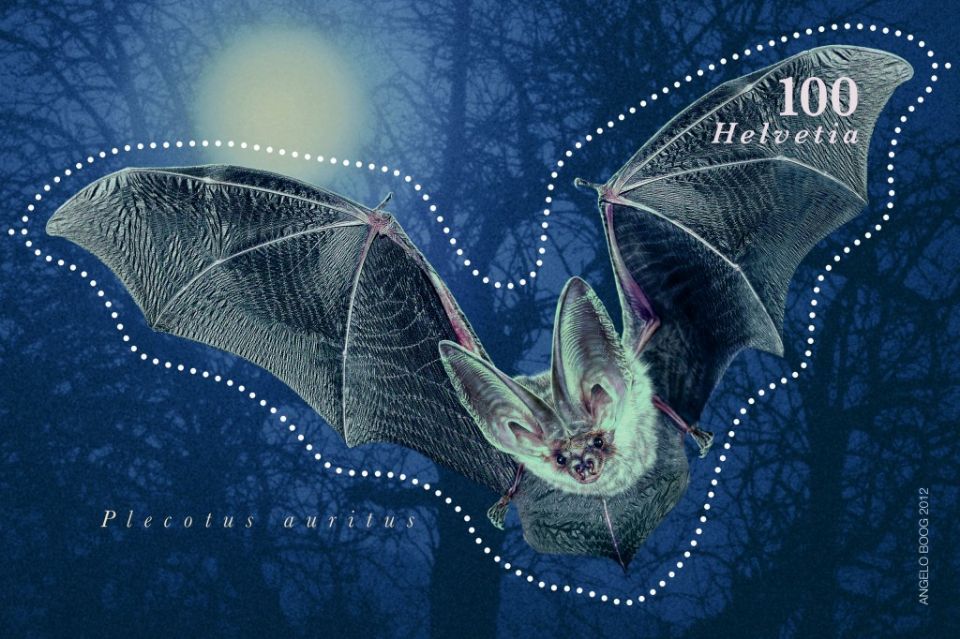 Swiss Post issues three dimensional long eared bat stamp - All About Stamps
