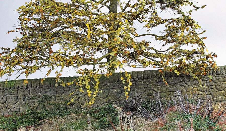 How to model a deciduous tree - World Of Railways