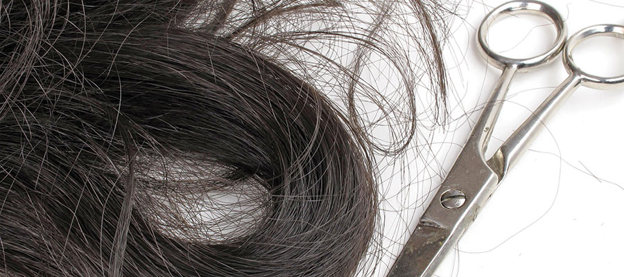 How to model a deciduous tree - World Of Railways