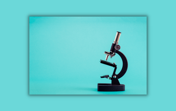 How To Write | Under the microscope extra | February 2023 | Writers Online