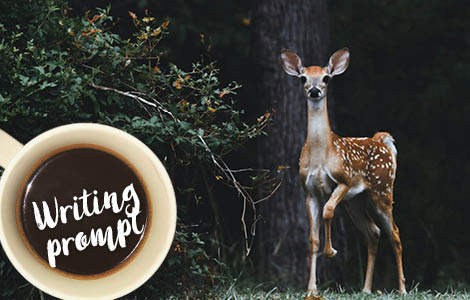 How To Write | Writing prompt | Glimpse | Writers Online