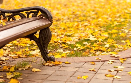 News | Creative writing competition | Win a bench | Writers Online