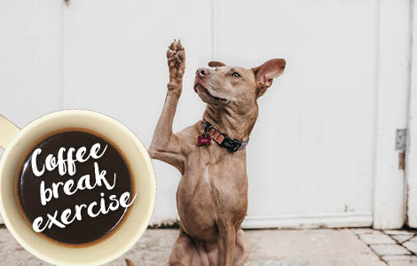 How To Write | Coffee break exercise | New tricks | Writers Online