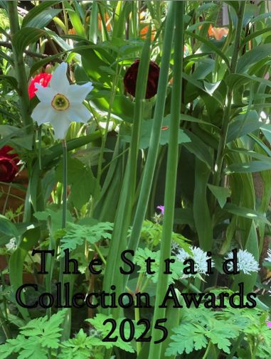 News | Poetry competition | The Straid Poetry Collection Awards 2025 ...