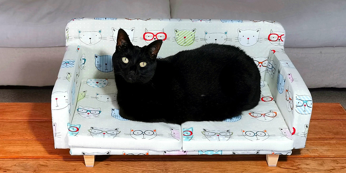 E: 14/10 Win a miniature sofa for your cat from CraftySharp ...