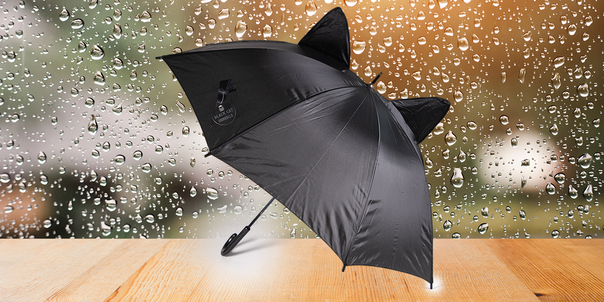 Win a black cat umbrella! - Your Cat