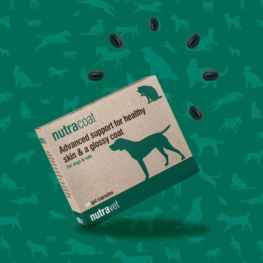 Win a box of Nutracoat! - Your Cat