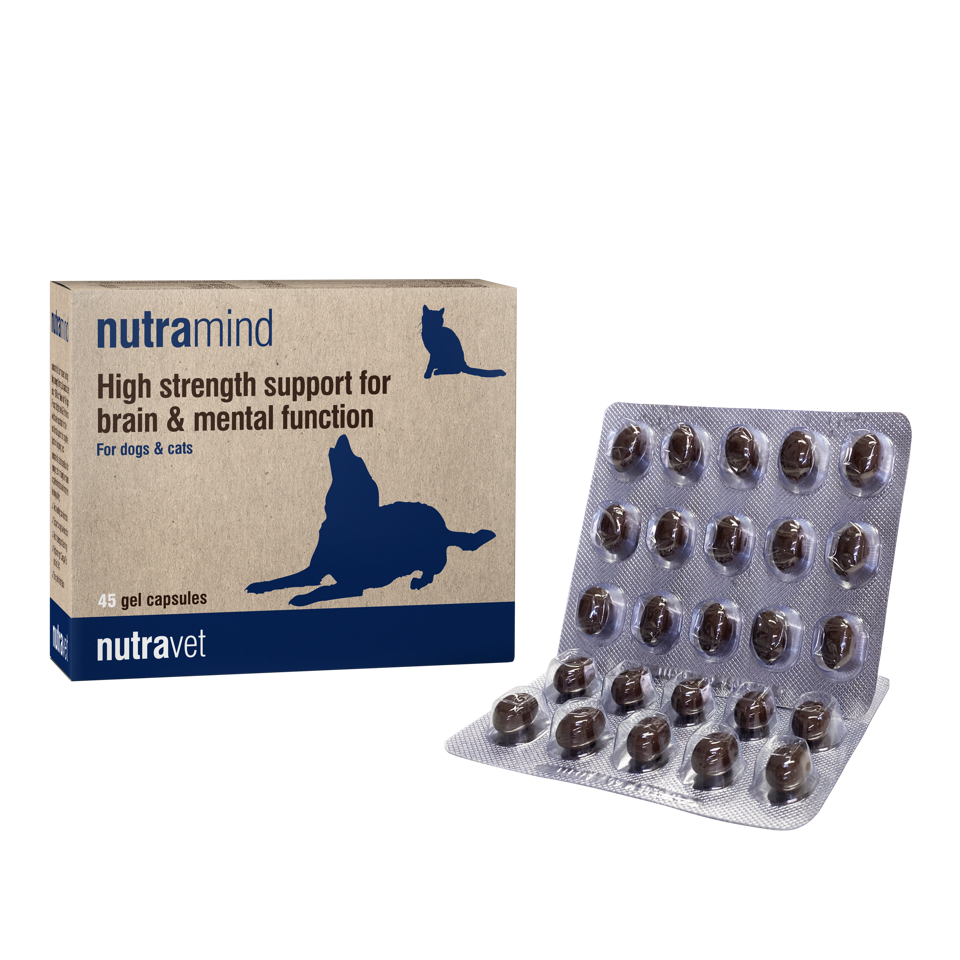 E: 08/10 Win a box of Nutramind – cognitive support for cats ...
